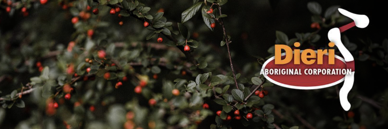 December 2020 - The Dieri Aboriginal Corporation RNTBC